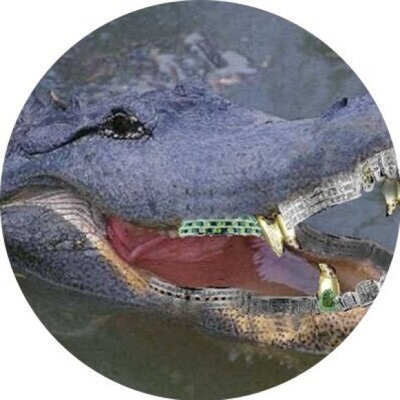 Hamilton Nolan | Defector