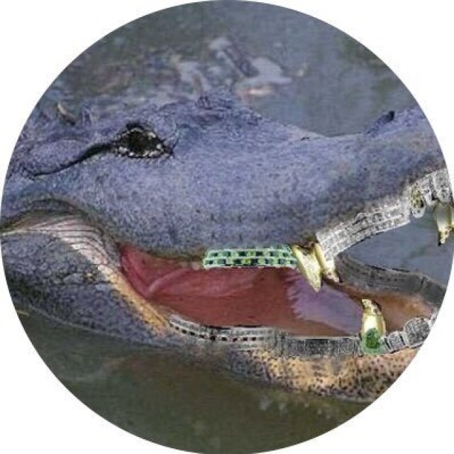 Hamilton Nolan | Defector