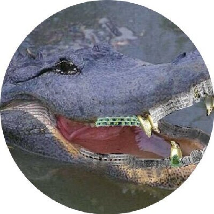 Hamilton Nolan | Defector