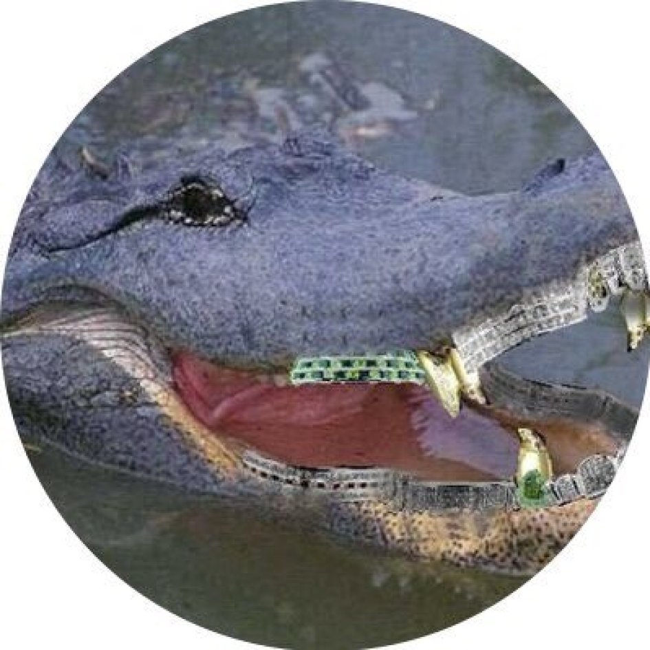 Hamilton Nolan | Defector