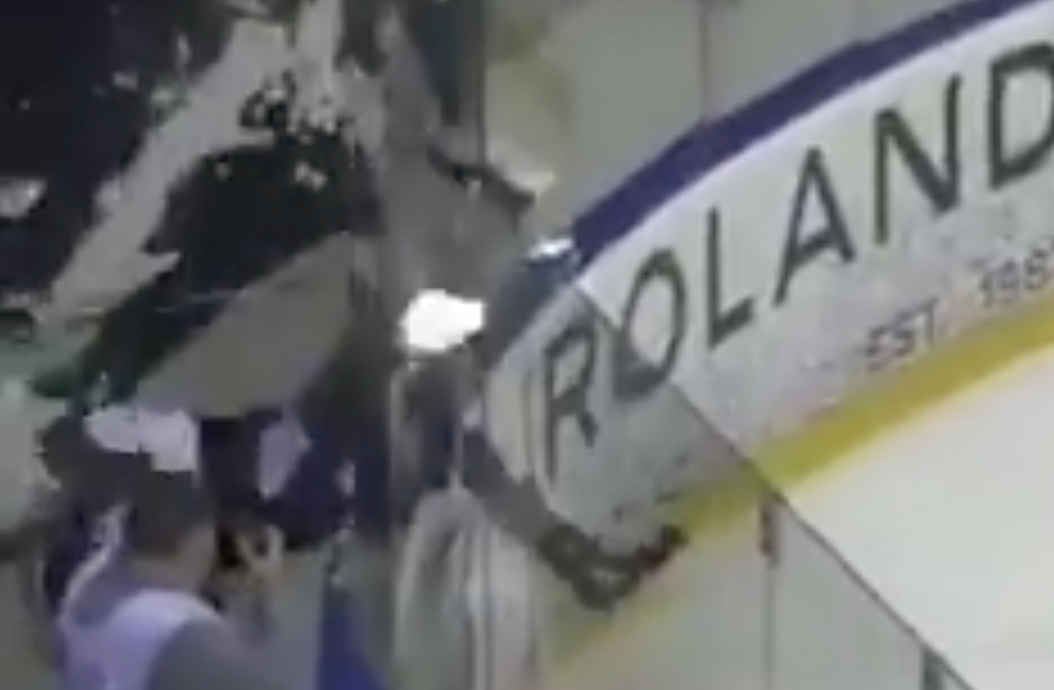 Hungarian Hockey Man Flings Himself Through The Glass | Defector