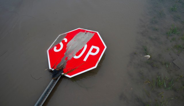 A "Predatory" Stop-Sign Camera Is Terrorizing My Neighborhood | Defector