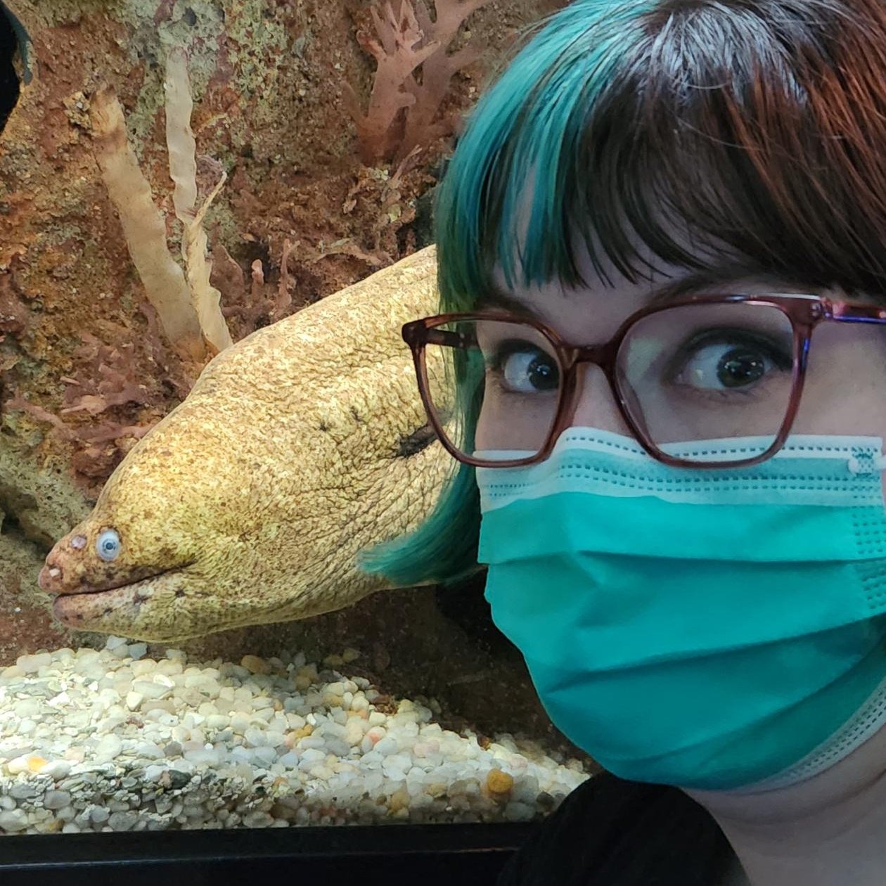 Brigid Christison | Defector