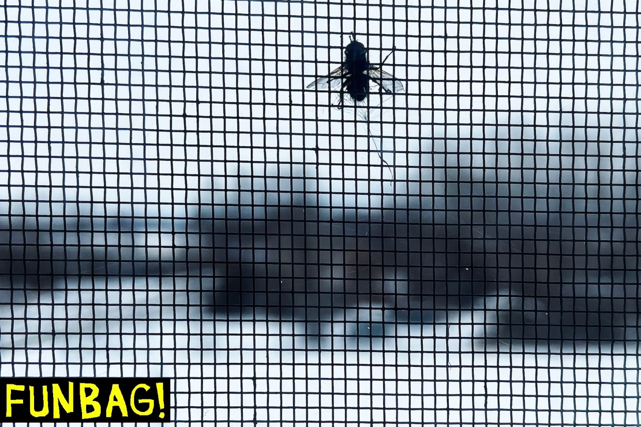 Funbag Archives | Defector