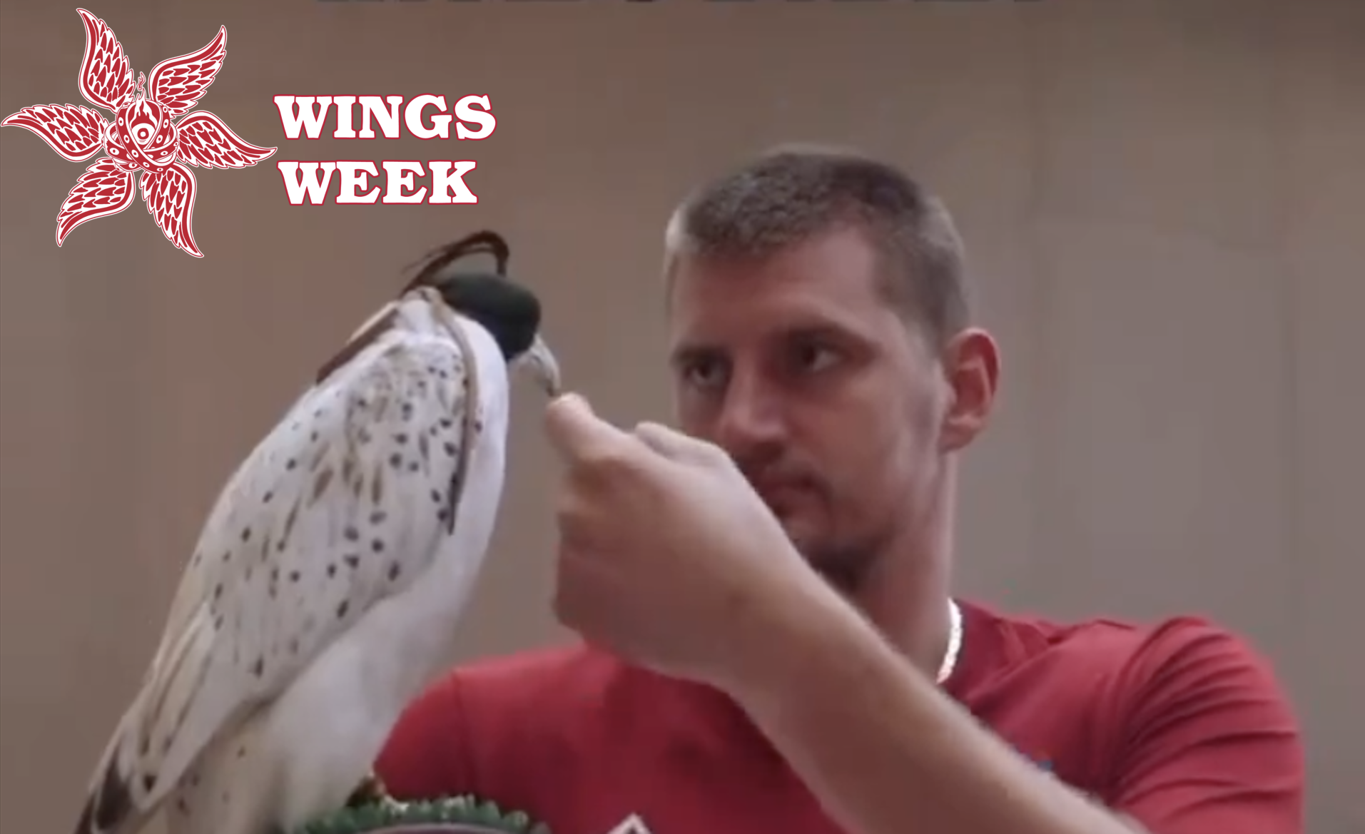 Nikola Met A Bird | Defector