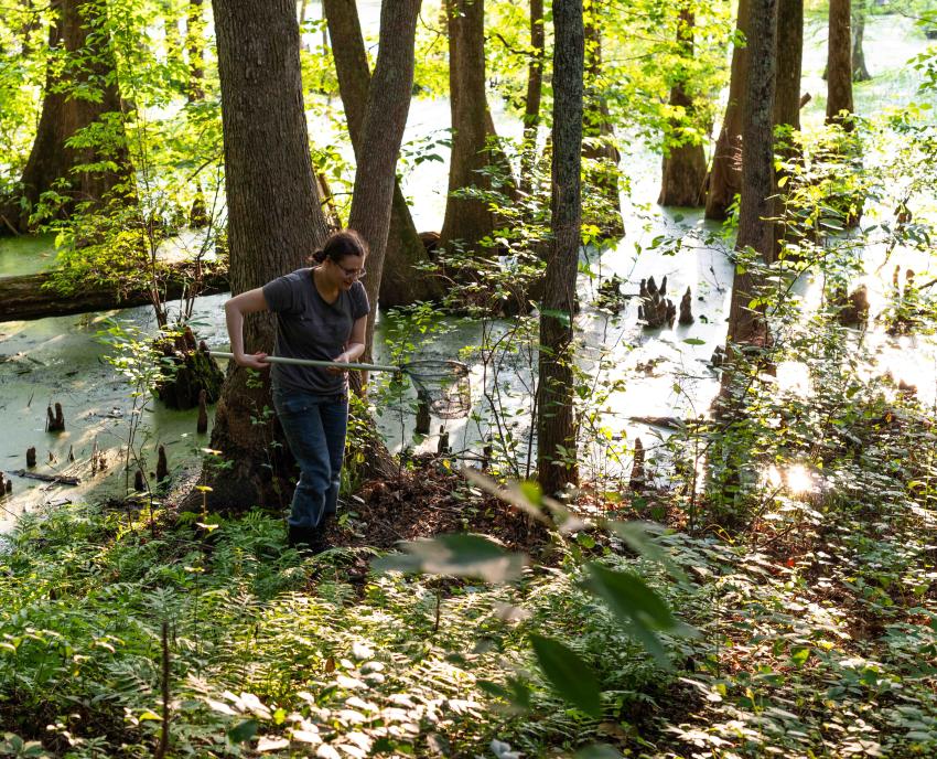 This Frog Is In Its Belly Flop Era | Defector