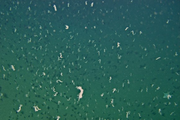 All Posts - Defector