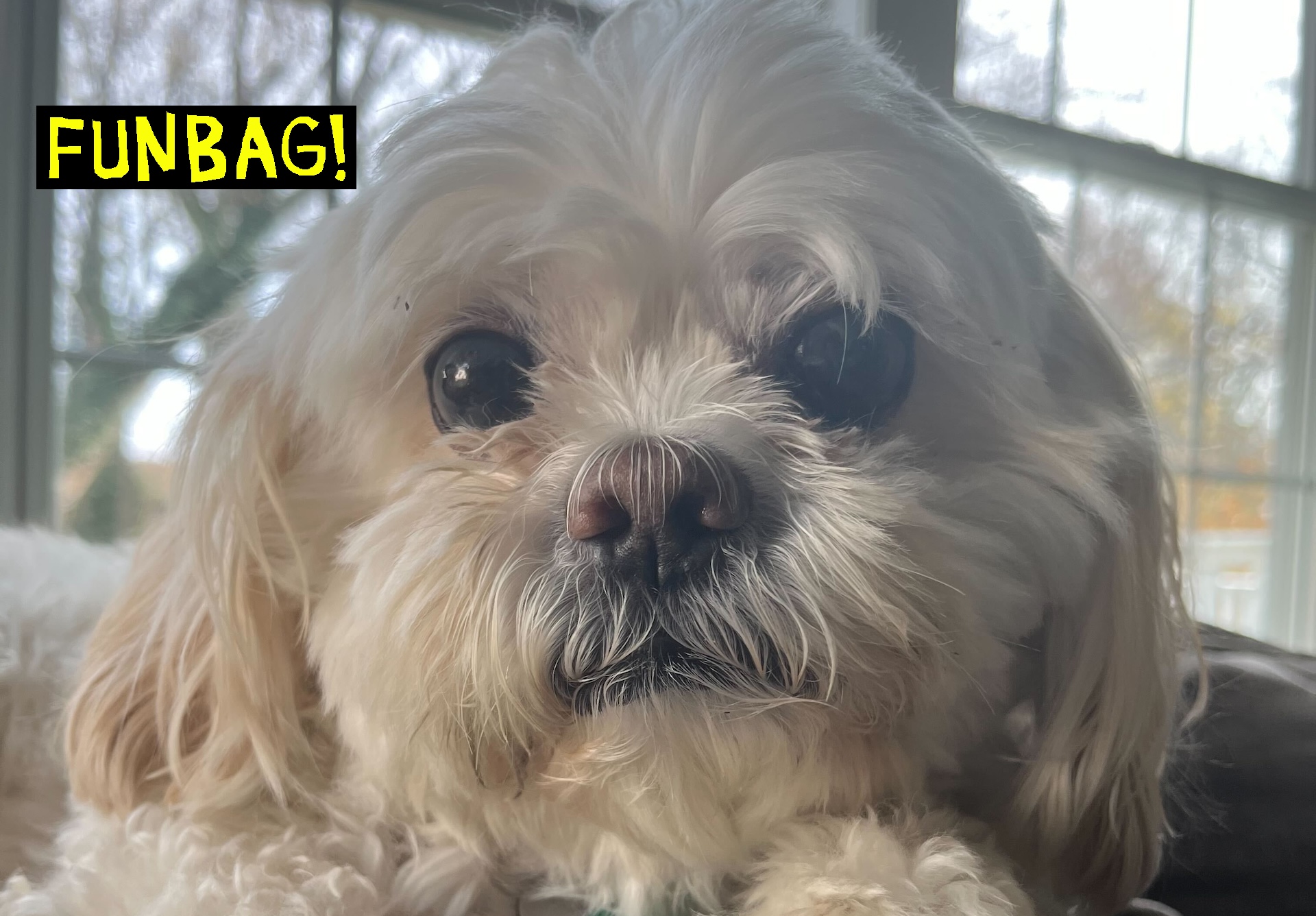 Funbag Archives | Defector