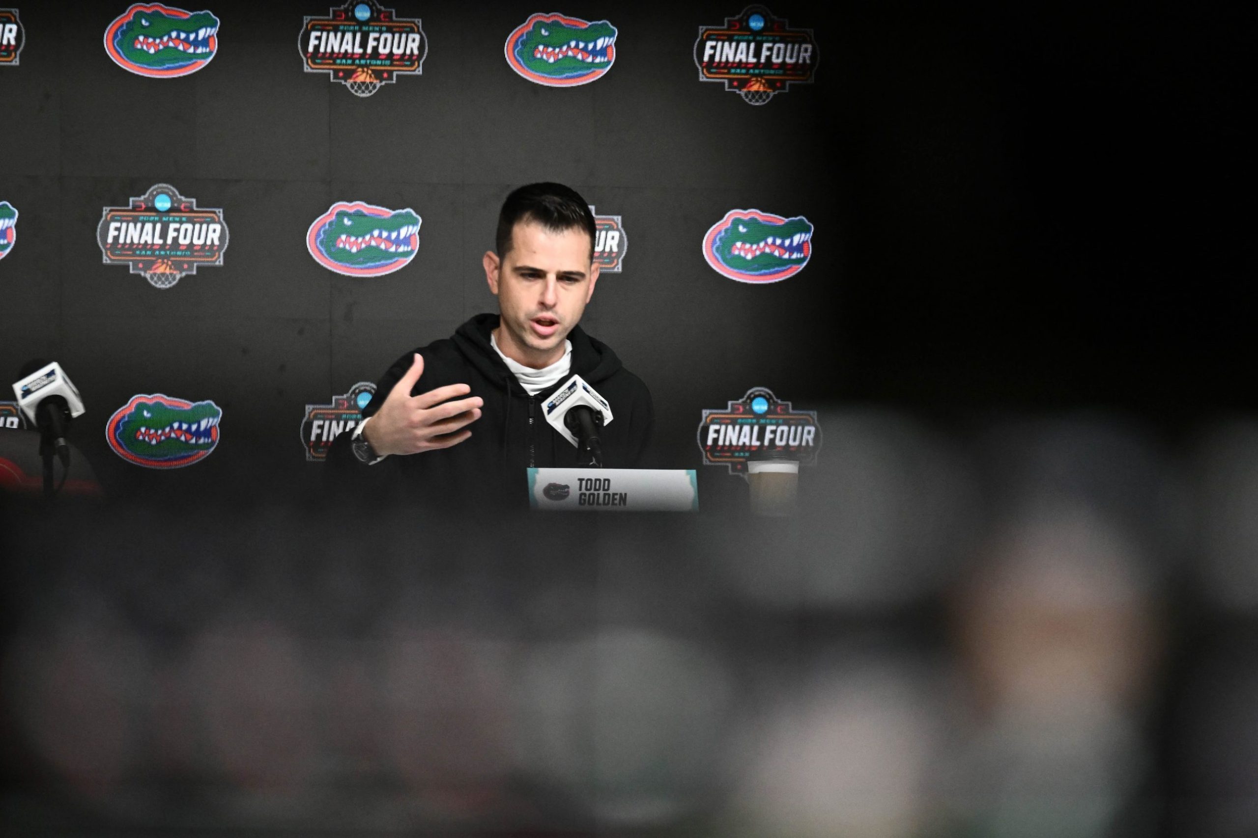 A Bird Idiot's Guide To Winter Birding | Defector