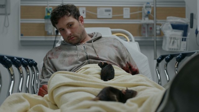 For A Good Time And Great Laughs, Try ‘The Pitt’! | Defector