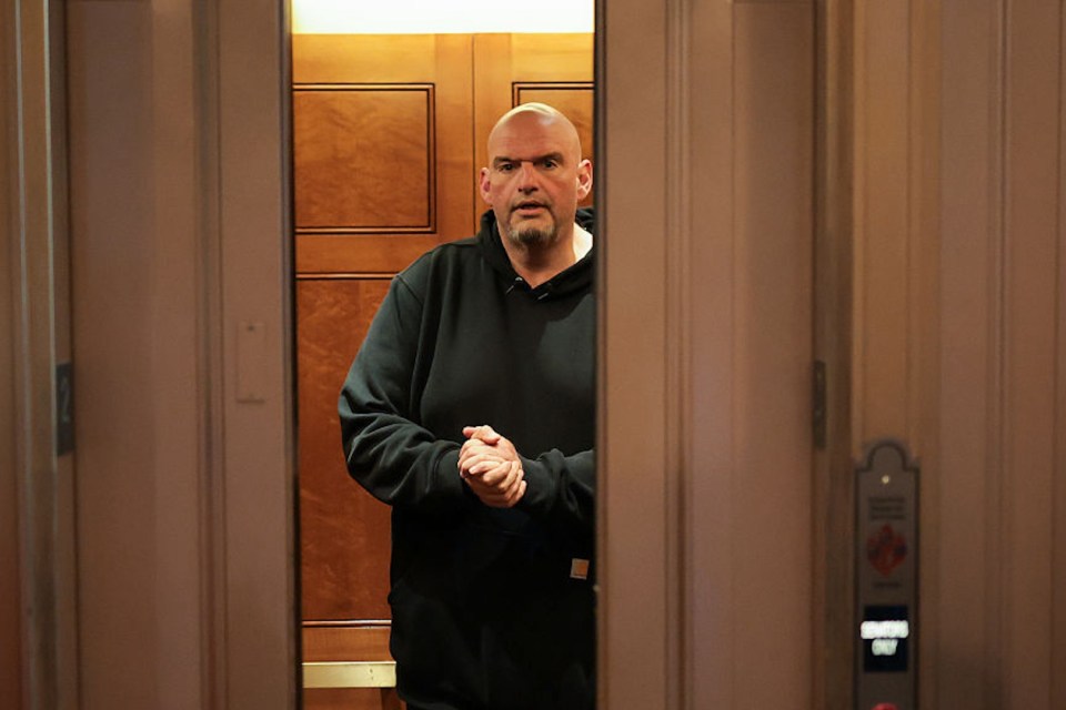 A Bird Idiot's Guide To Winter Birding | Defector