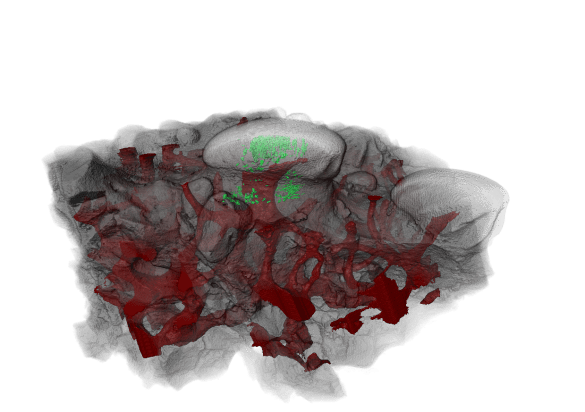 The "Tooth Hurty" Joke Has Its Origins In Ancient, Armored Fish | Defector