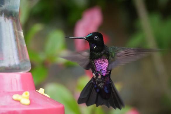 Bill Shapes, Ranked | Defector