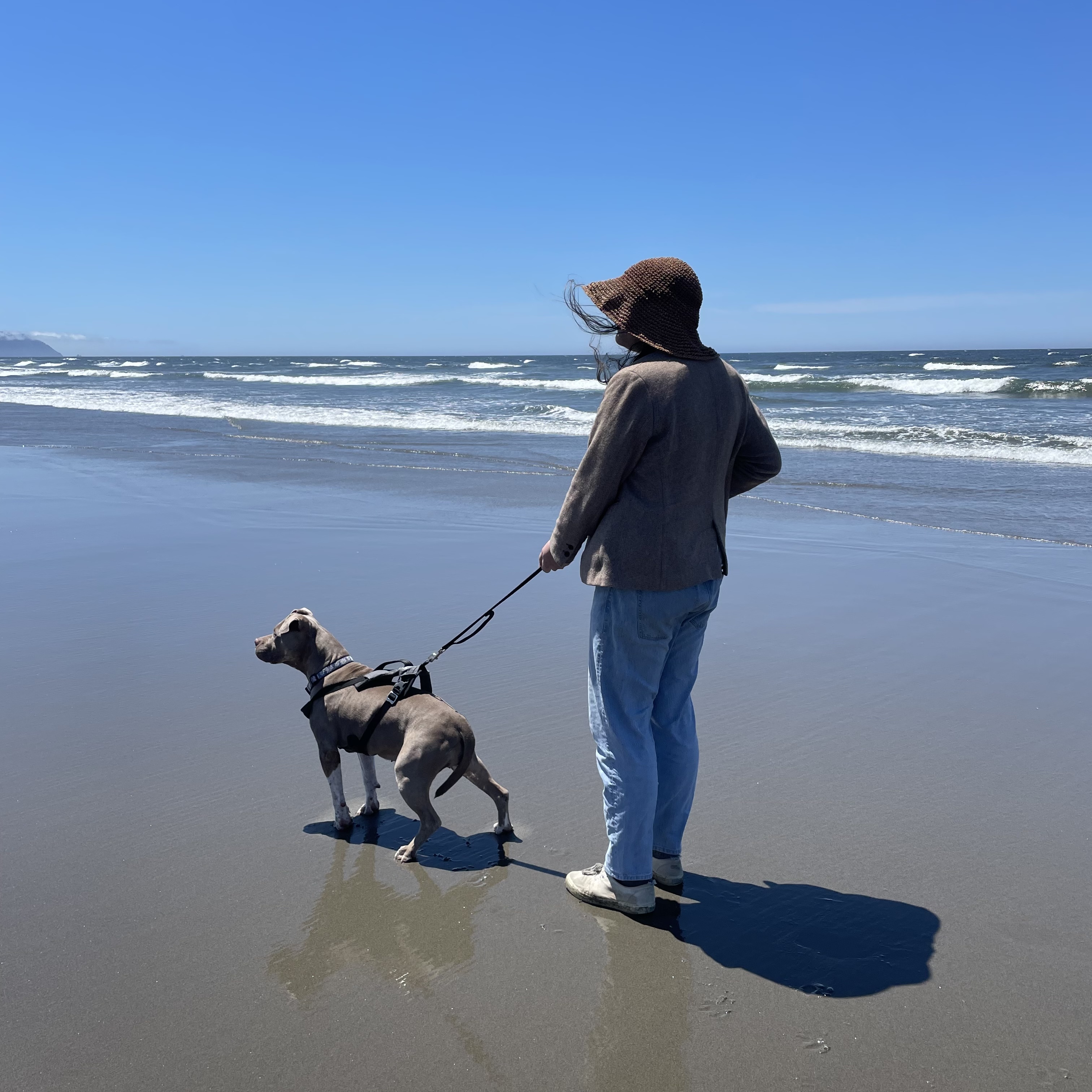 Jaime Brooks | Defector