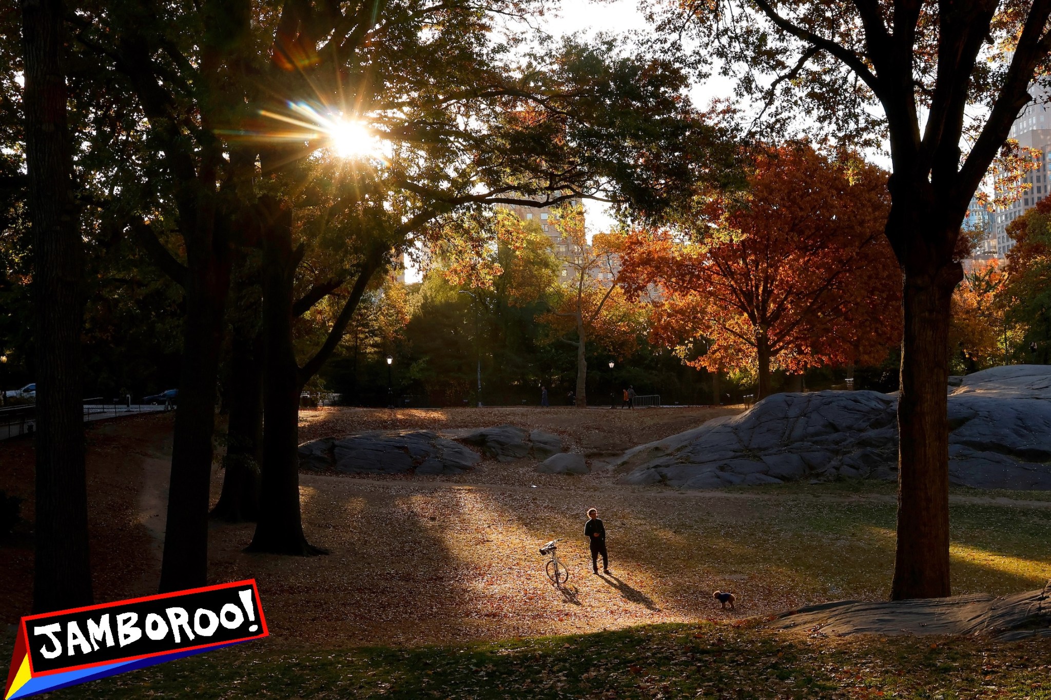 The Judgment Of Magneto | Defector